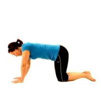 Stabilization Multifidus - Global Exercises | Upstep